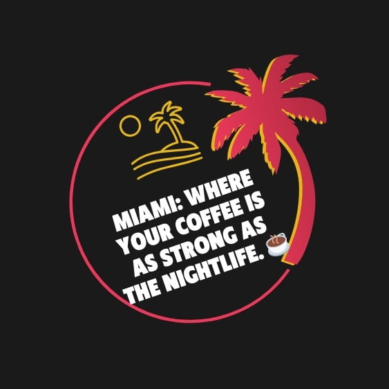 100 Best Miami Captions For Instagram 100 Best Miami Captions For Instagram