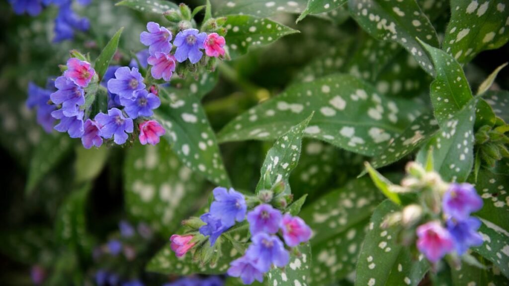 15 Fragrant Spring Flowers for a Sensational Seasonal Garden