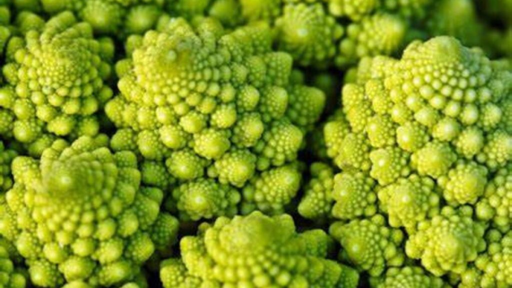 15 Frustratingly Difficult Vegetables To Grow In Your Garden