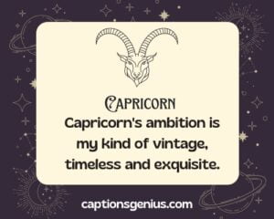 100+ Best Capricorn Captions For Instagram - We Don't Quit!