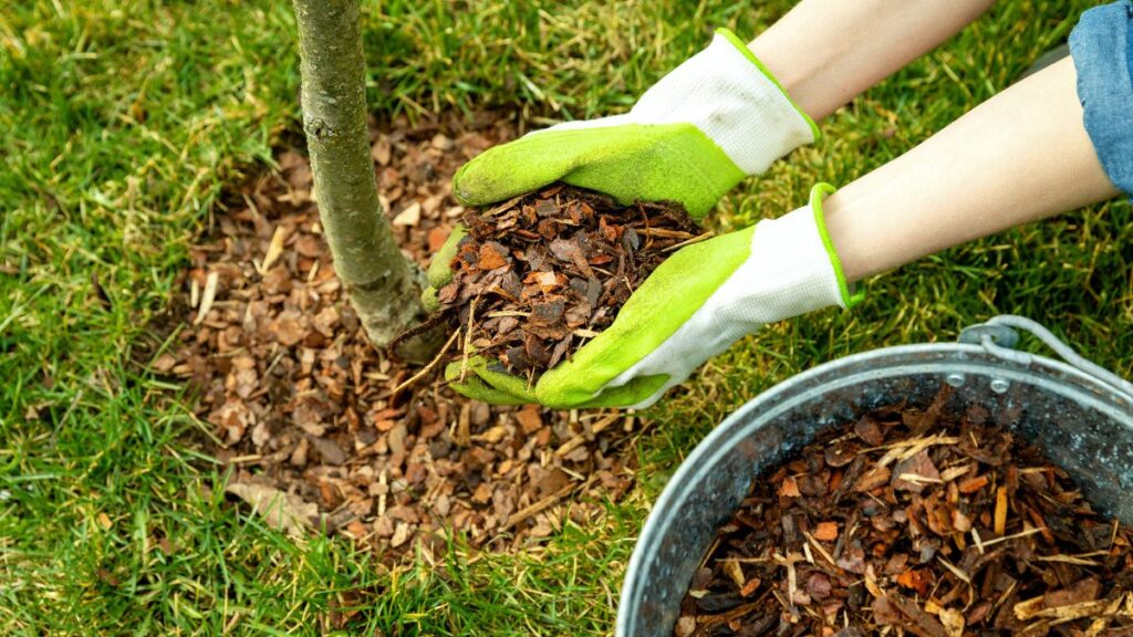 15 Best Gardening Tricks To Prep Your Yard For Spring Birds
