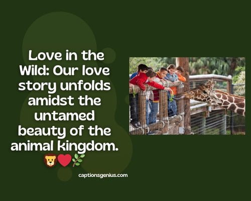 300+ Zoo Captions For Instagram - Unleash Your Wild Side!